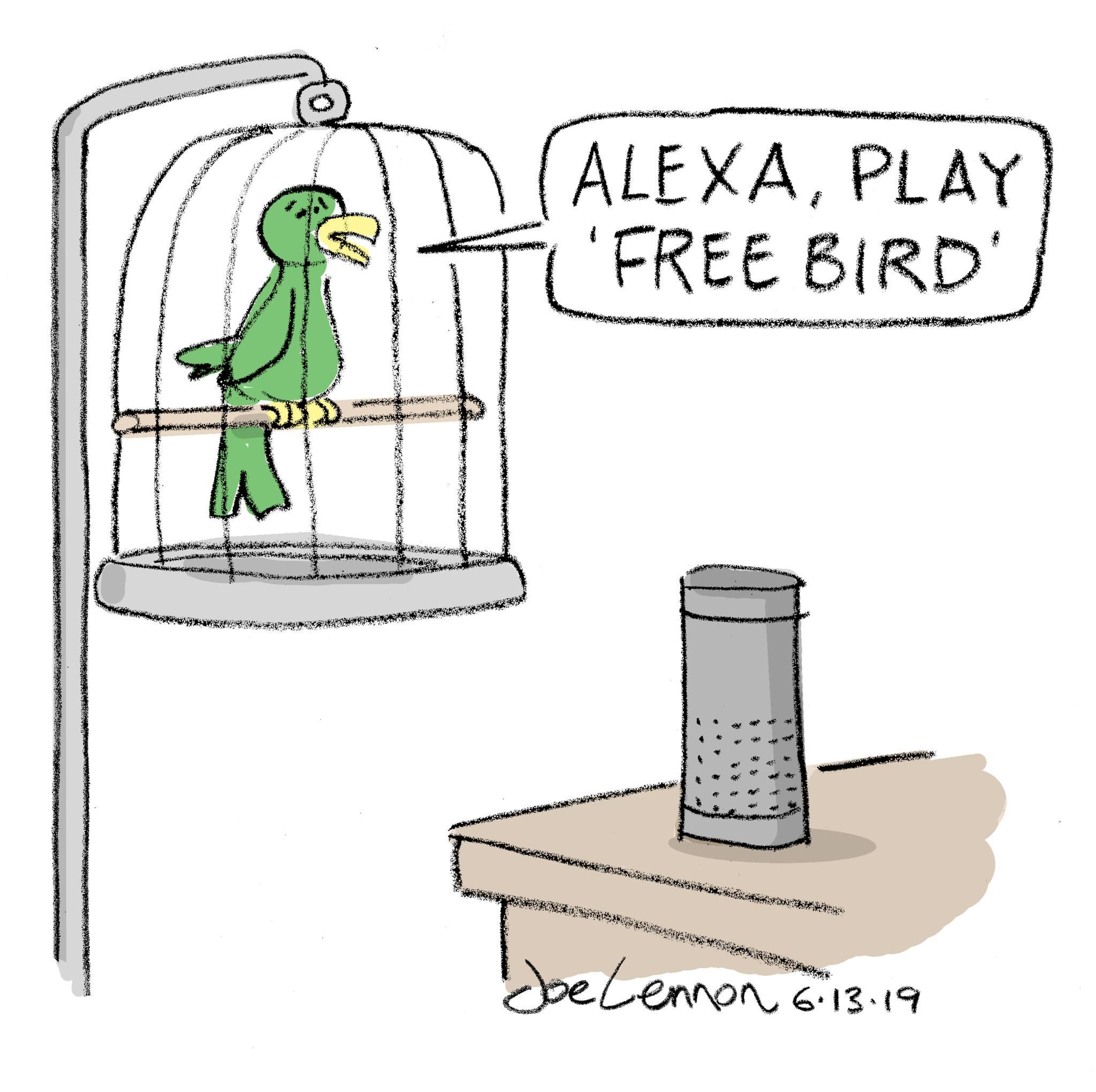 Hummingbird Nest Cam - 2024