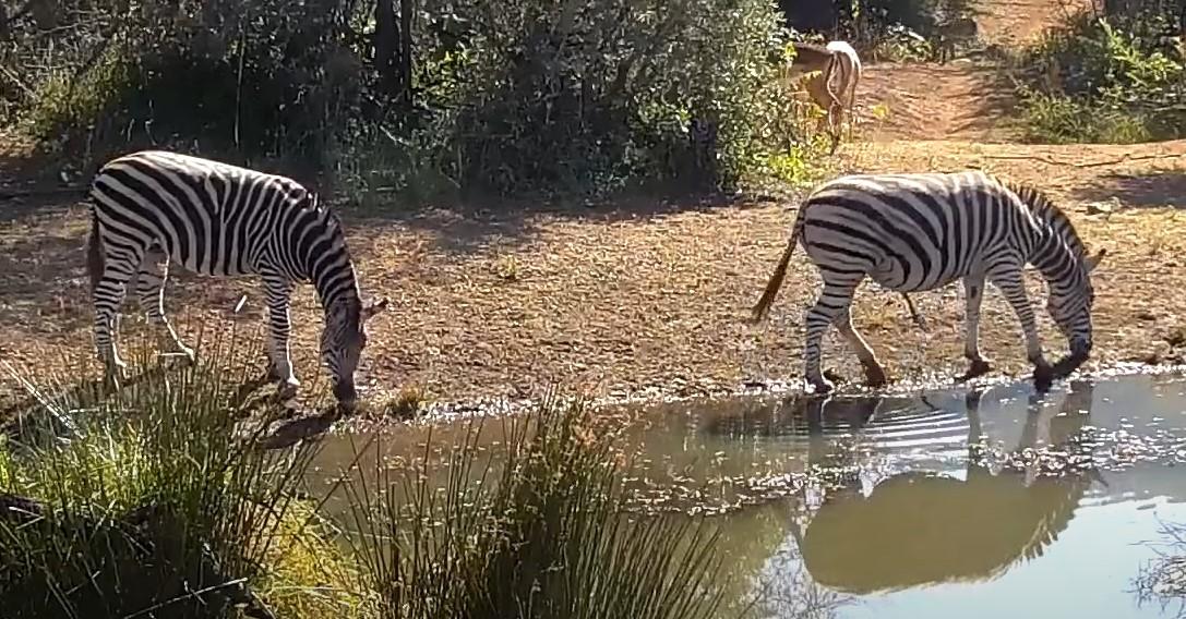 Kwa Maritane Live Cam - 2025